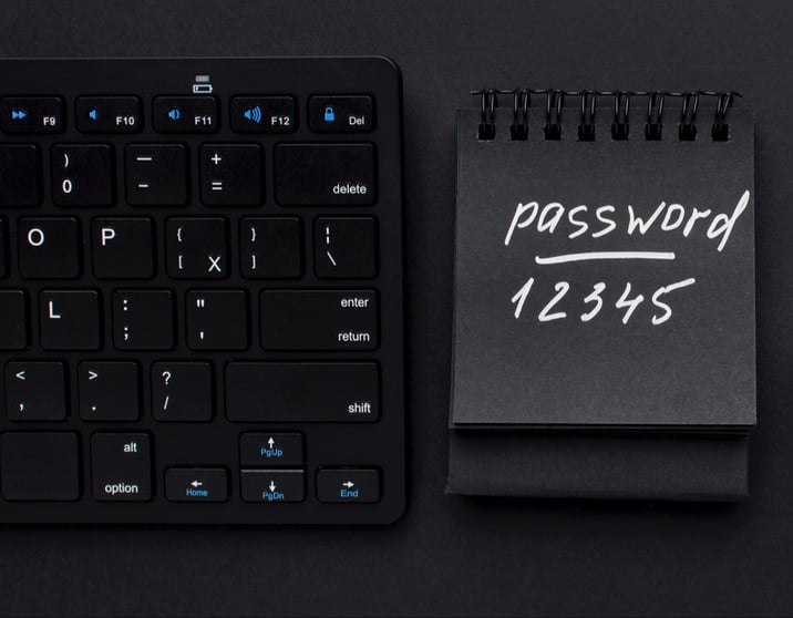 Why Passwords are Your Business’s Weakest Point